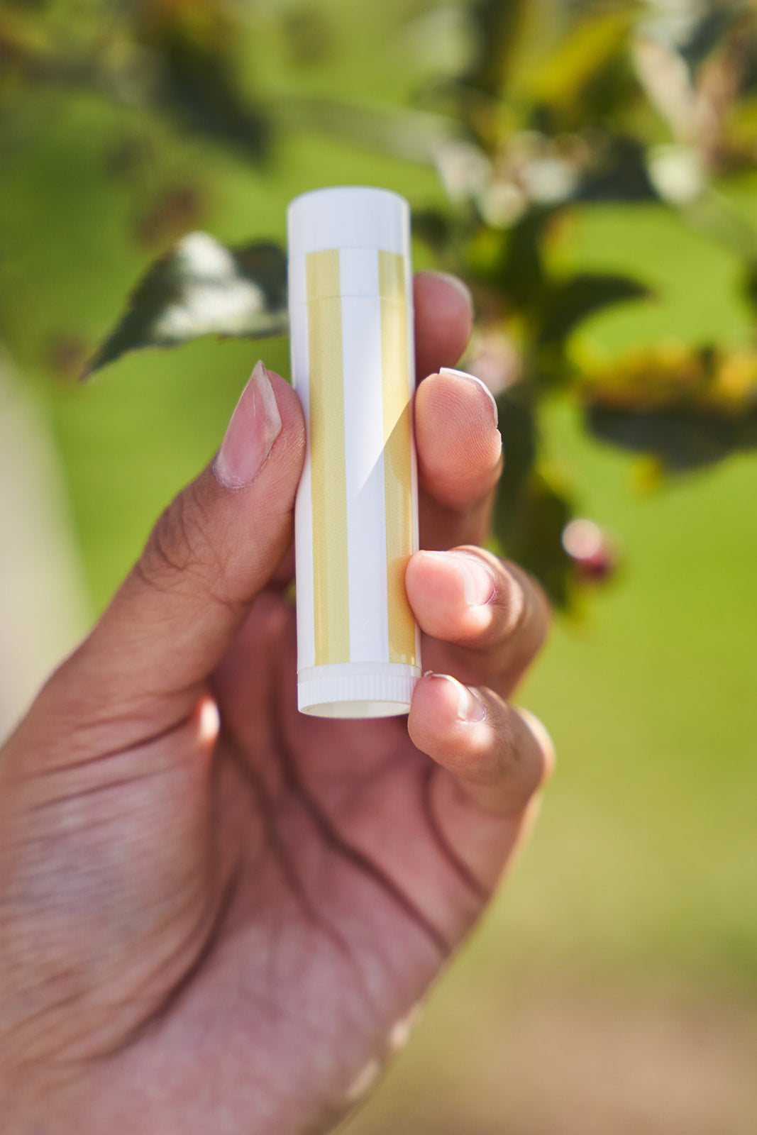 Sunbeam Cabana Stripes | LipNotes Lip Balm